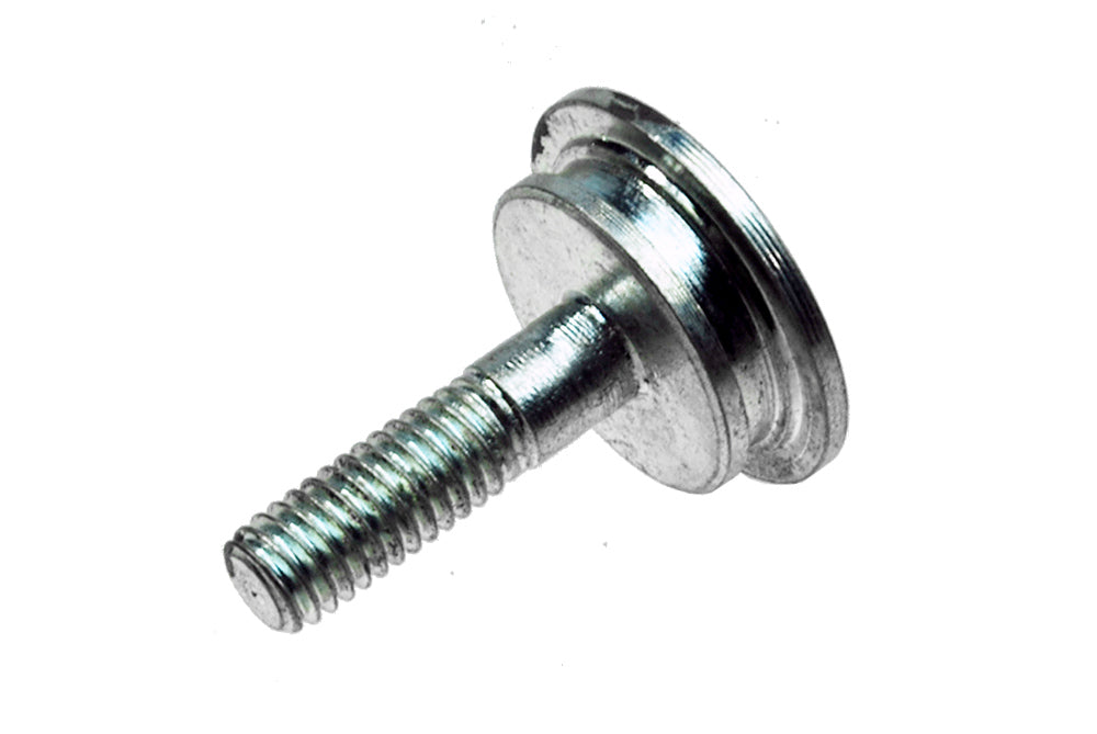 Bolt, Pivot, Lower Cam Chain Guide M6 – Buggy Depot