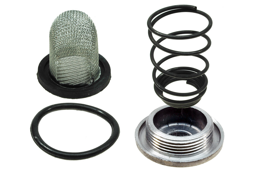 Oil Filter Screen Kit (Screen, Spring, Cap, Seal) – Buggy Depot
