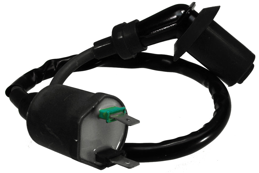 Ignition Coil (Standard) – Buggy Depot
