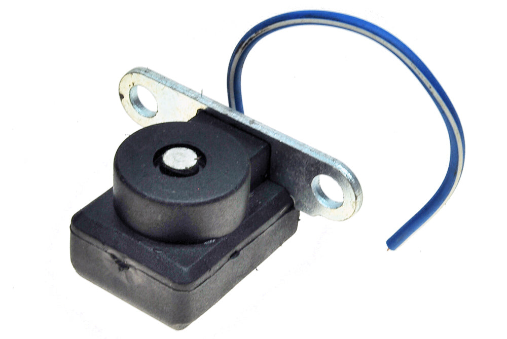 Trigger Module (Ignition Sensor) – Buggy Depot