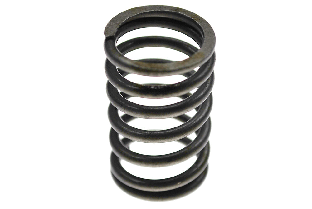 Valve Inner Spring – Buggy Depot